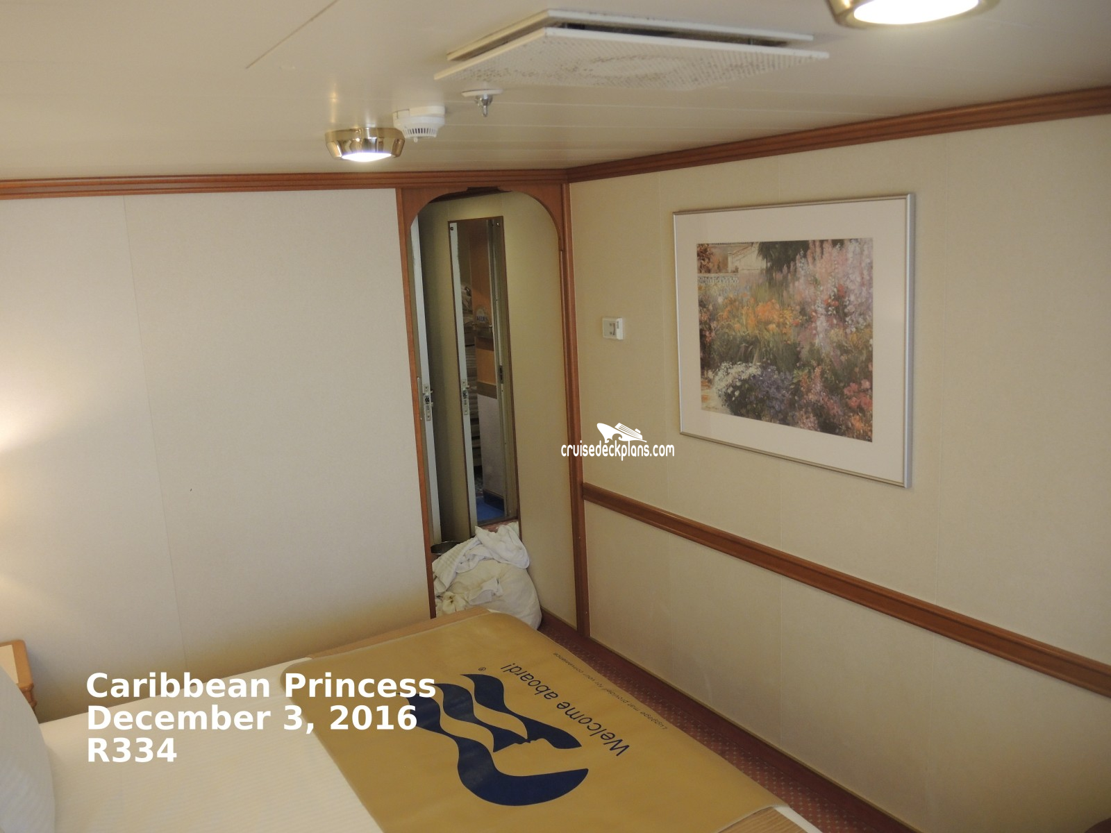 Caribbean Princess Cabin R334