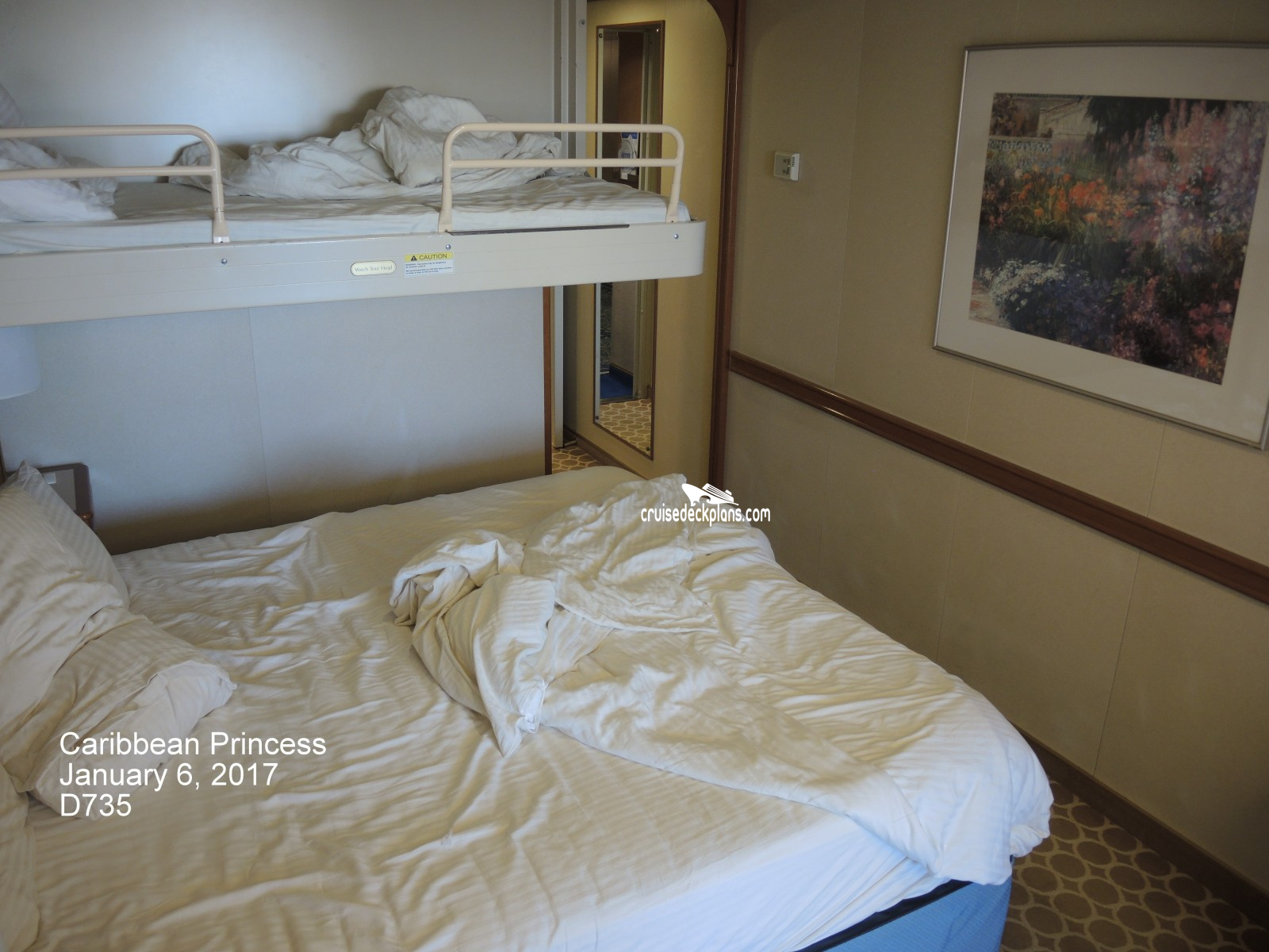 Caribbean Princess Cabin D735