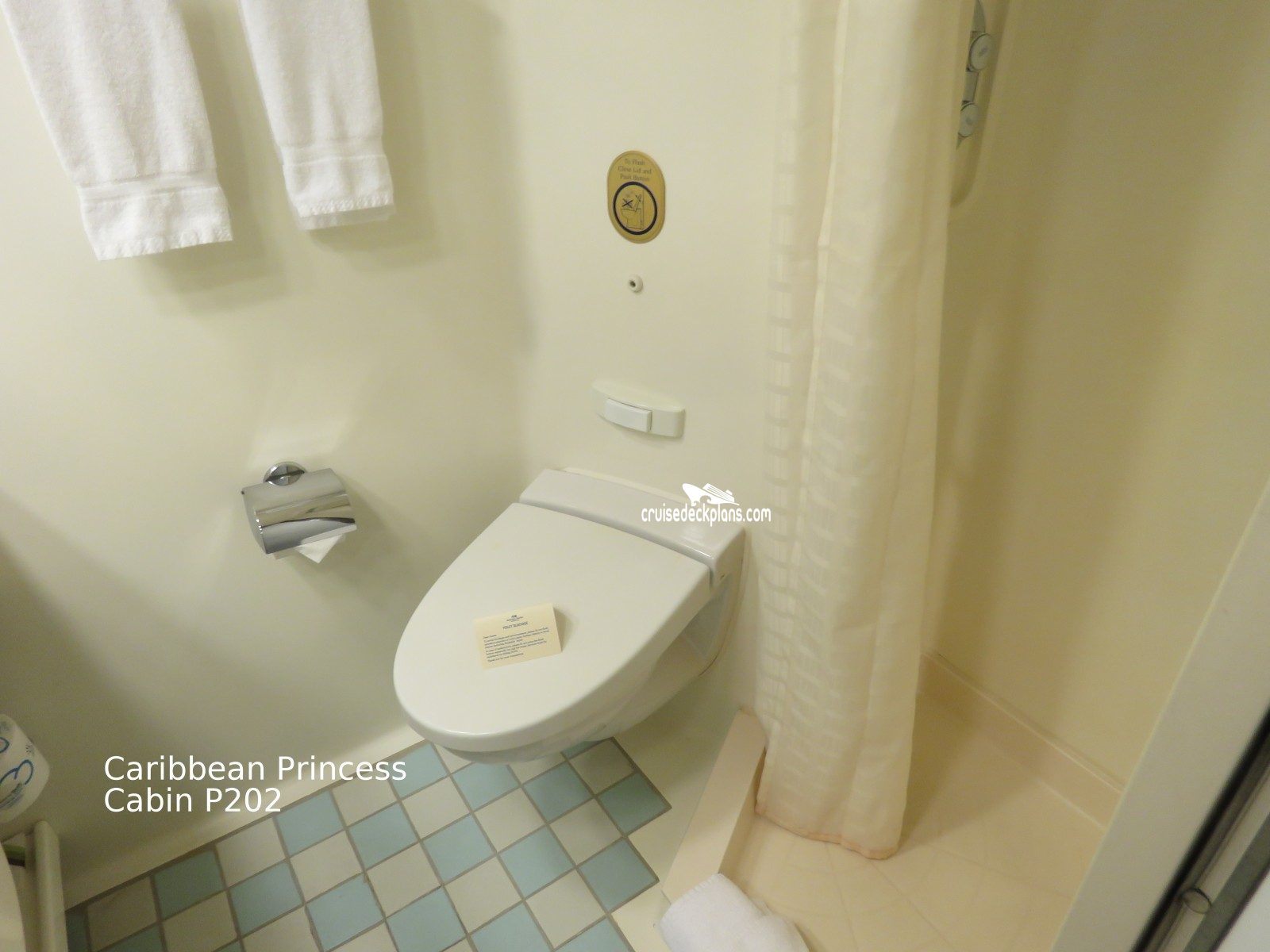 Caribbean Princess Cabin P202