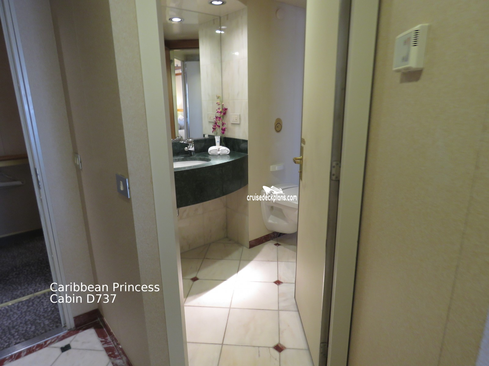 Caribbean Princess Cabin D737