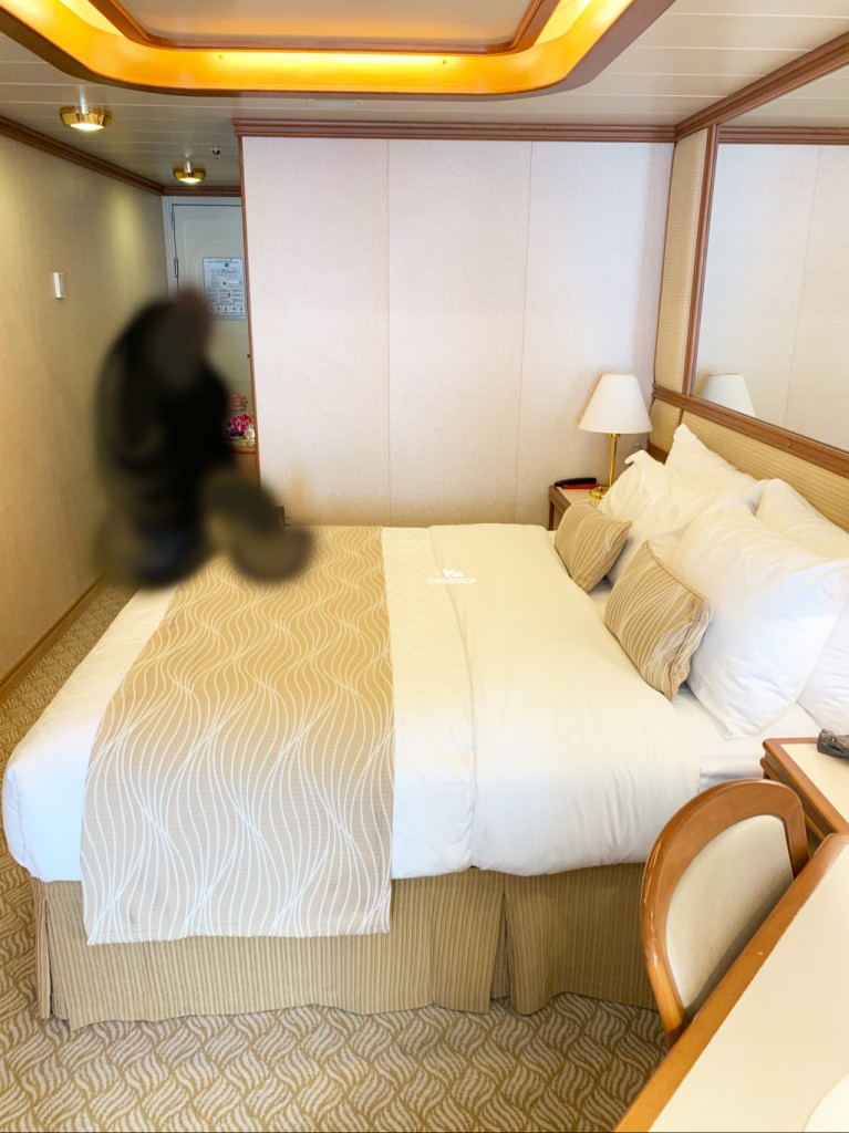 Ruby Princess Cabin D606