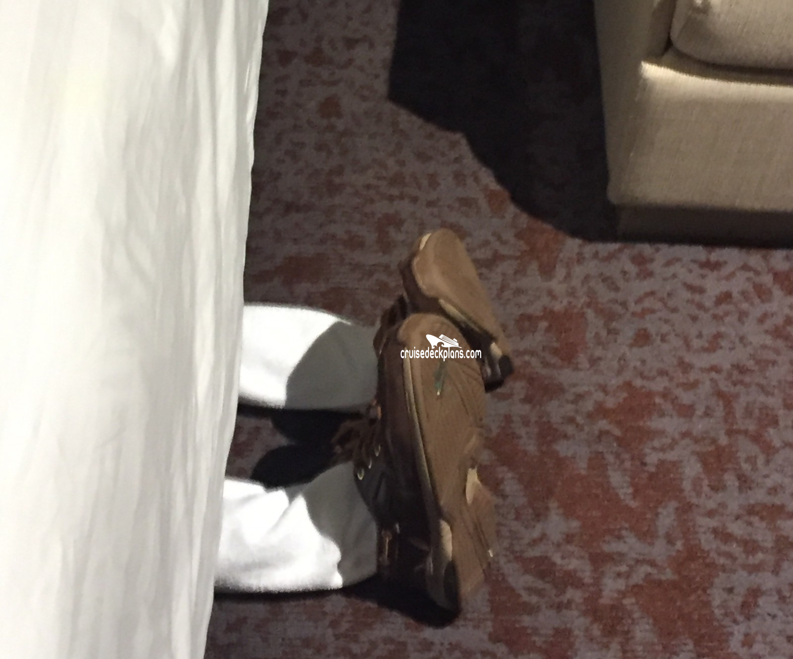 Koningsdam Cabin 6159