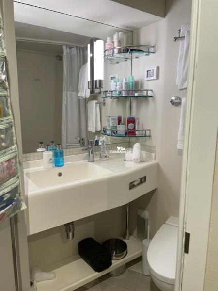 Stateroom S221 Enchanted Princess