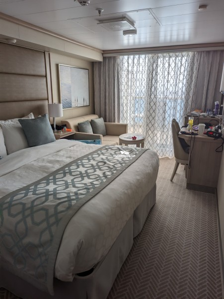 Cabin D222 Discovery Princess Stateroom