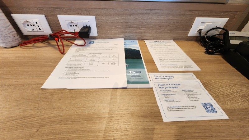 Stateroom E439 Discovery Princess