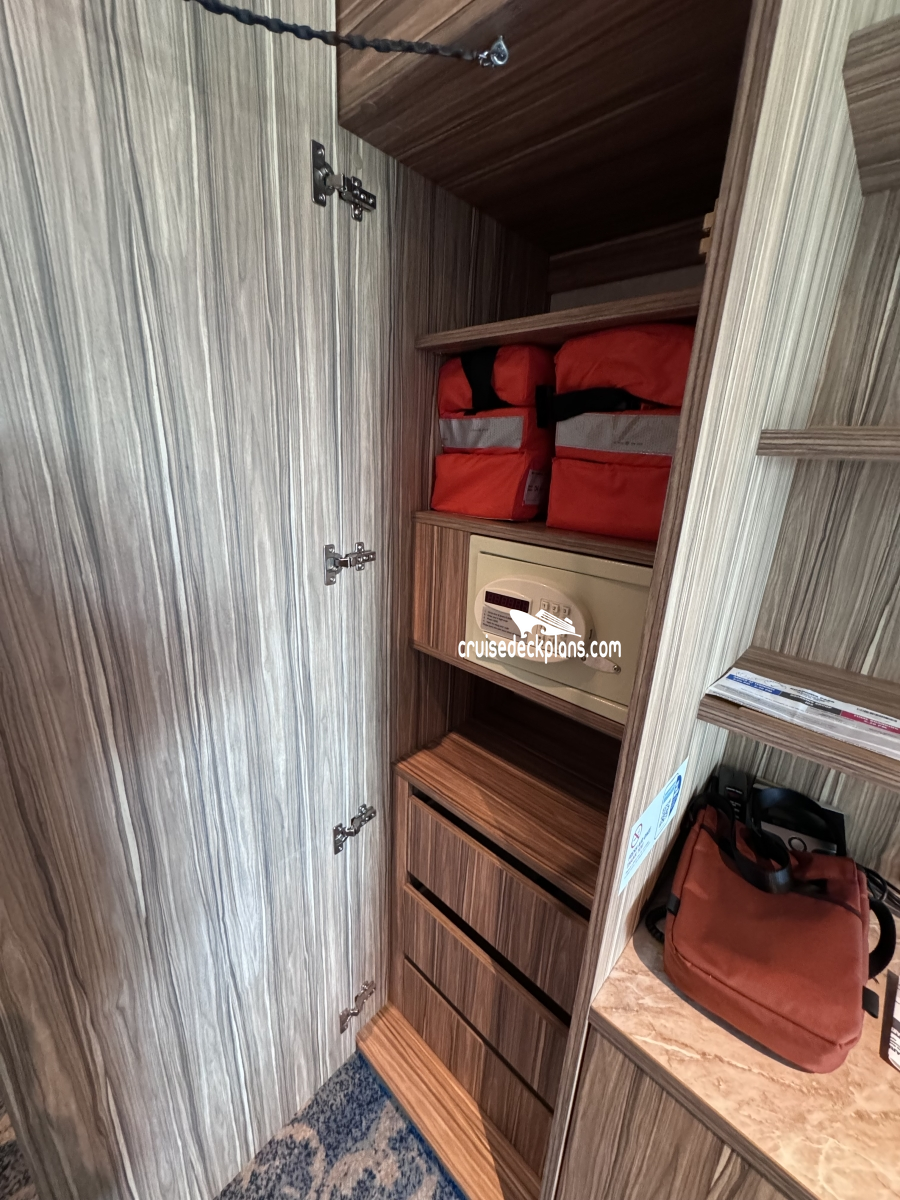 Carnival Firenze Deluxe Oceanview Details and Pictures