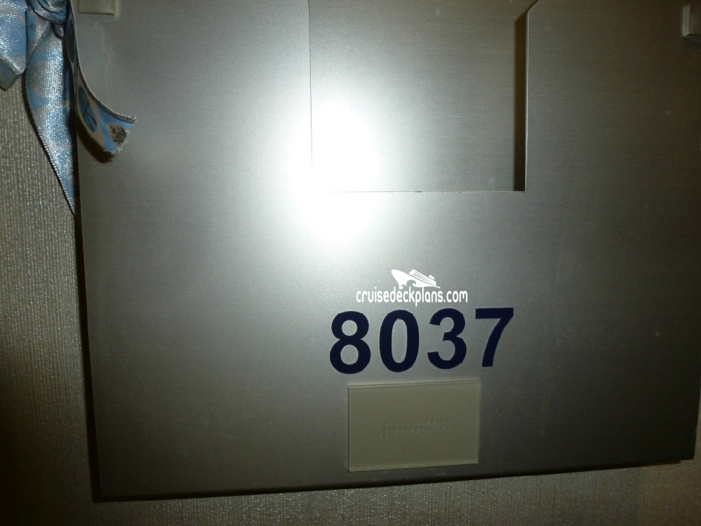 Nieuw Amsterdam Cabin 8037