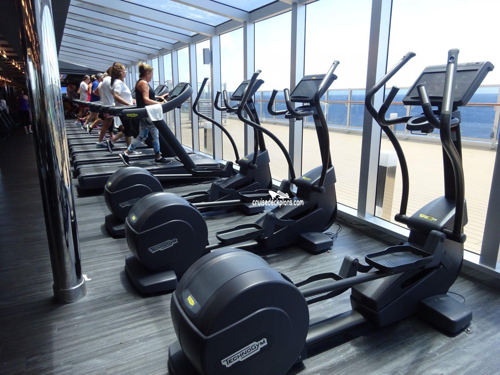MSC Seaview MSC Gym Pictures