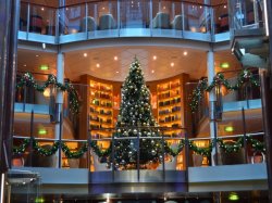 Celebrity Reflection The Library Pictures