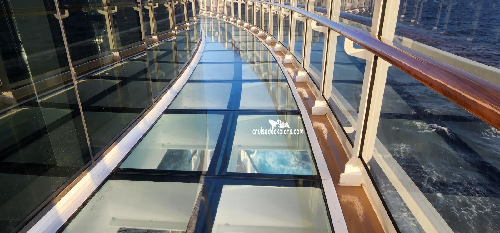 MSC Seashore Infinity Bridge Pictures