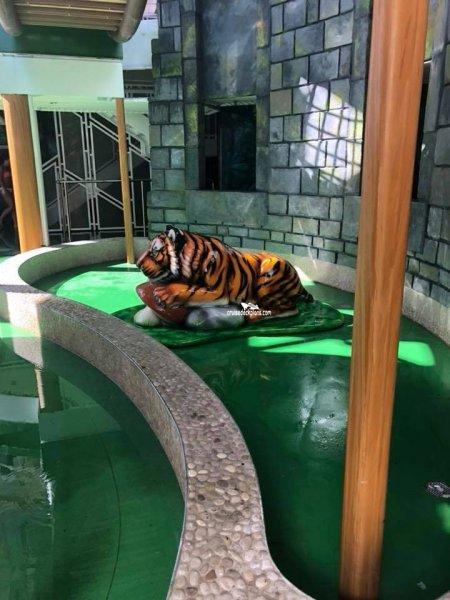 MSC Seaside Forest Aquaventure Park Pictures