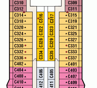 Discovery Princess Cabin C319